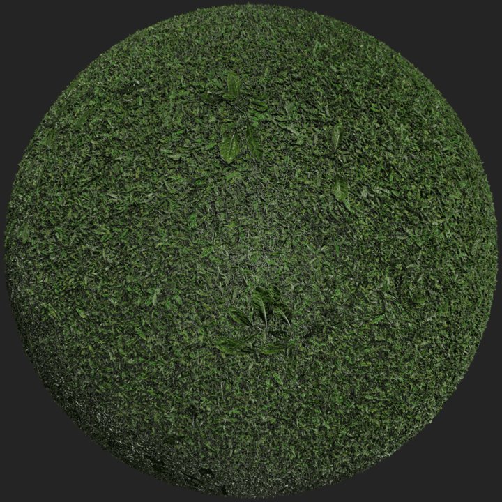 Grass 002 by CC0 Textures