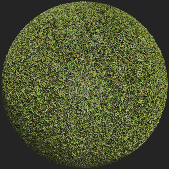 Grass 004 by CC0 Textures