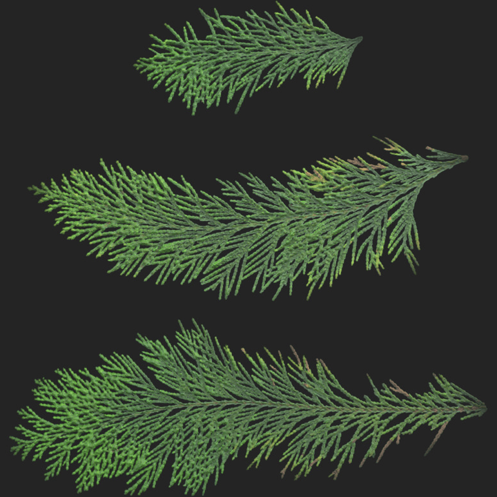 Leaf Set 019 by CC0 Textures