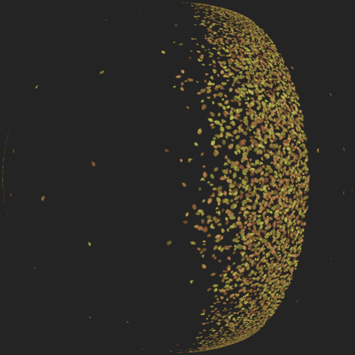 Scattered Leaves 003 by CC0 Textures