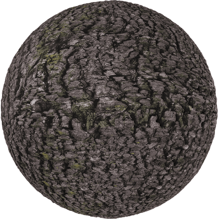 Bark - CC0 textures