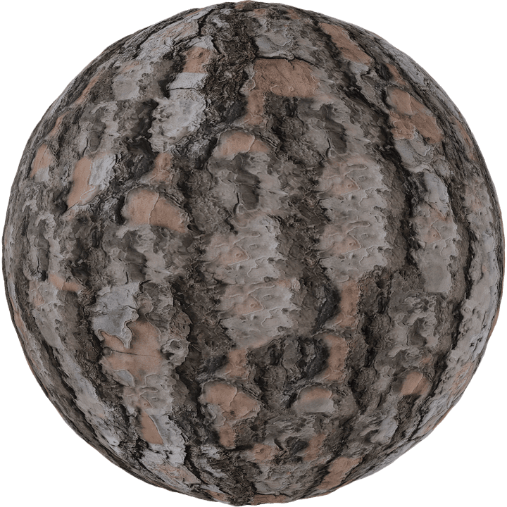 PBR Bark Texture 14 by Share Textures