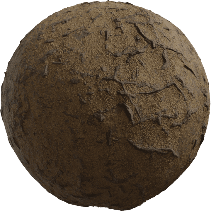 Roots by Texture Haven