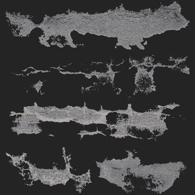 CC0 Public Domain Textures / 2